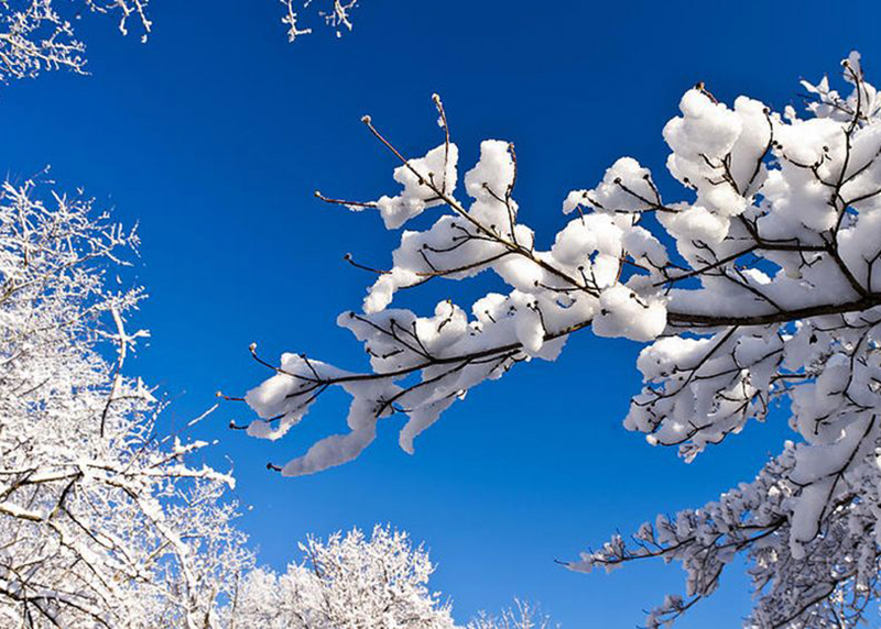 Need to Know: Communicating Weather-Related School Closures | News and ...