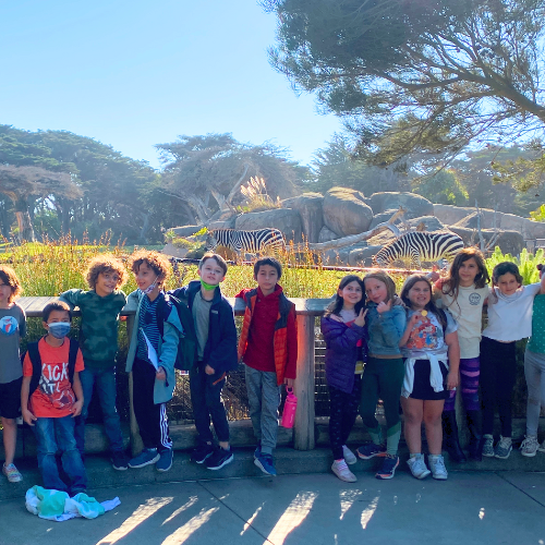 A Beautiful Day at the Zoo | Spotlight Stories Details