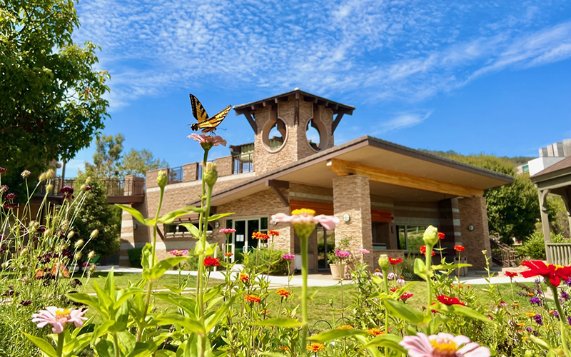 Dr. Grauer's Column - Bill Toone: "On the Wings of the Condor" | Post ...