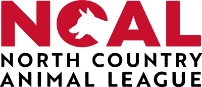 NCAL Service Learning Update - 1/6/2023 | Details - Cambridge ...