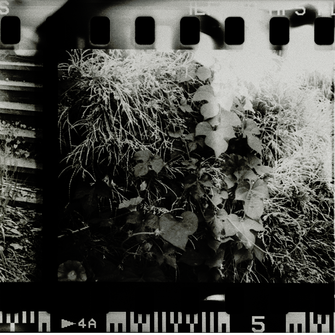 Four Ravens Earn Recognition From Scholastic Art Awards | News ...