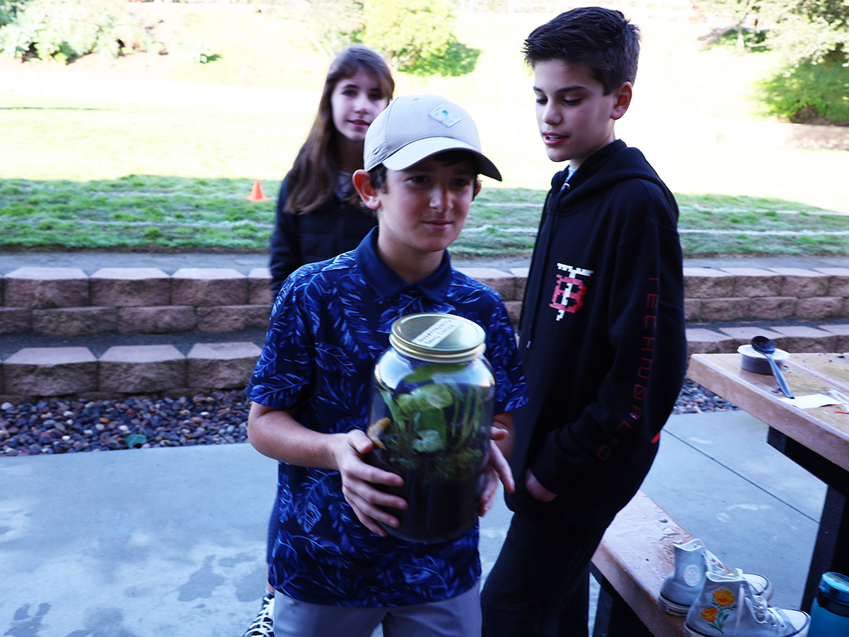 Grauer 7th Grade Life Science Class: Creating Biomes | Post Details ...