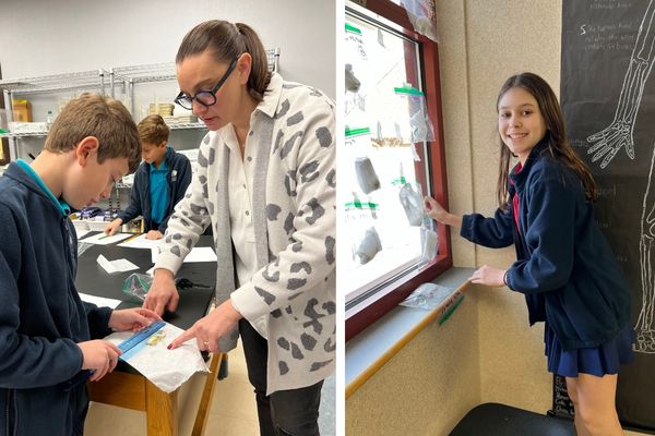 Fourth Grade Germination Science Project | Details