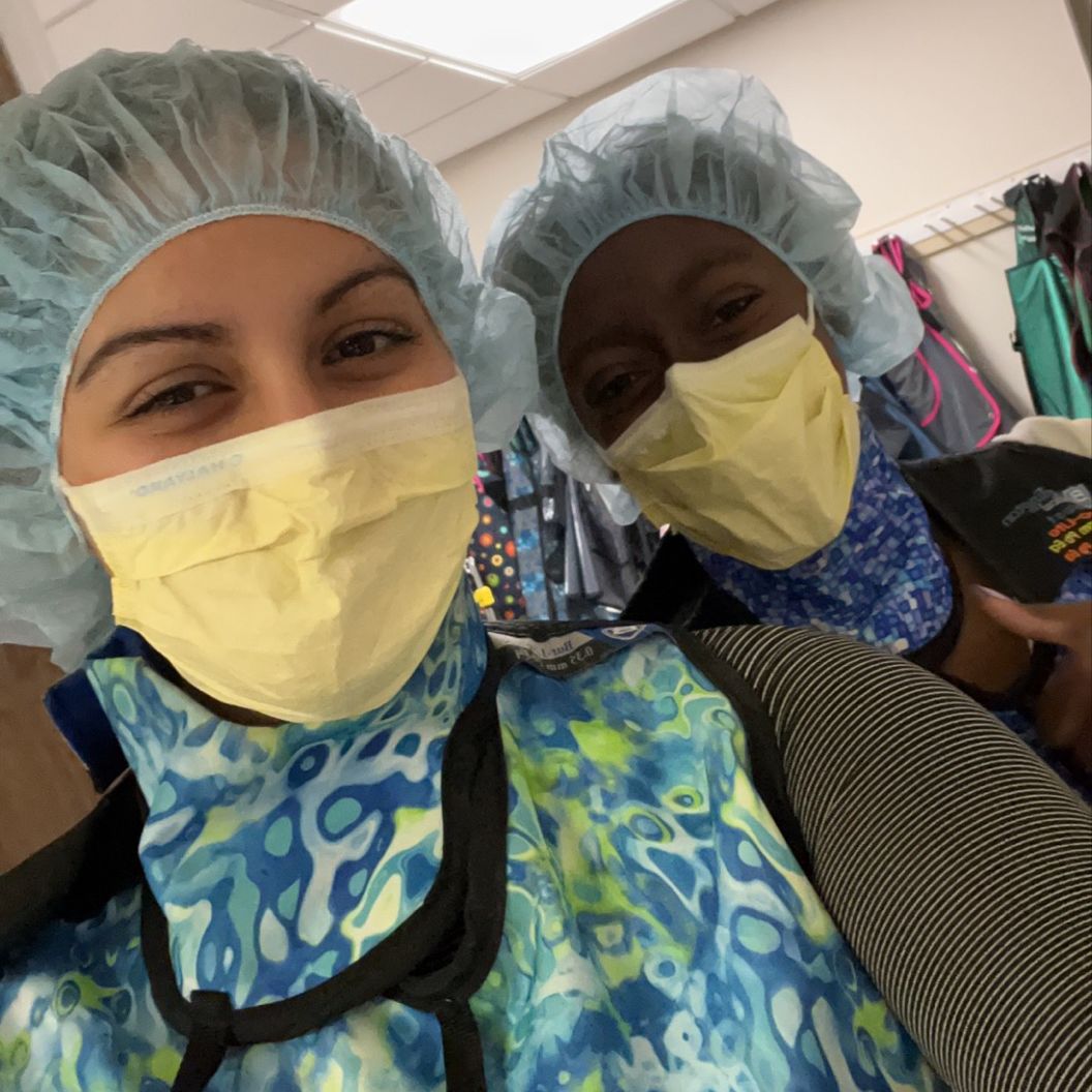Senior Externship: Connecting with Real-World Experiences | School News ...