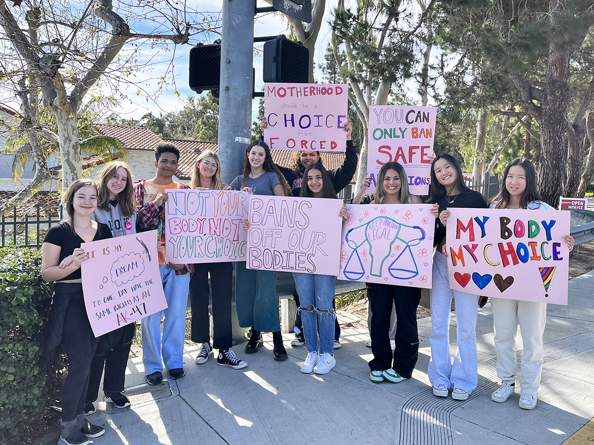 Grauer Young Leaders in Health Care Student Protest | Post Details ...