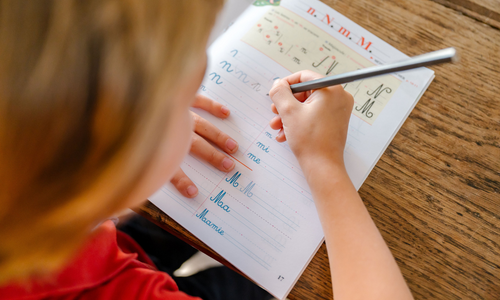 Ecole à Distance : Conseils d’Organisation | CEDRE