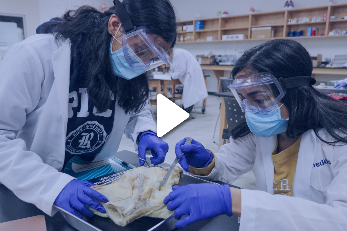 Biomedical Science | Details