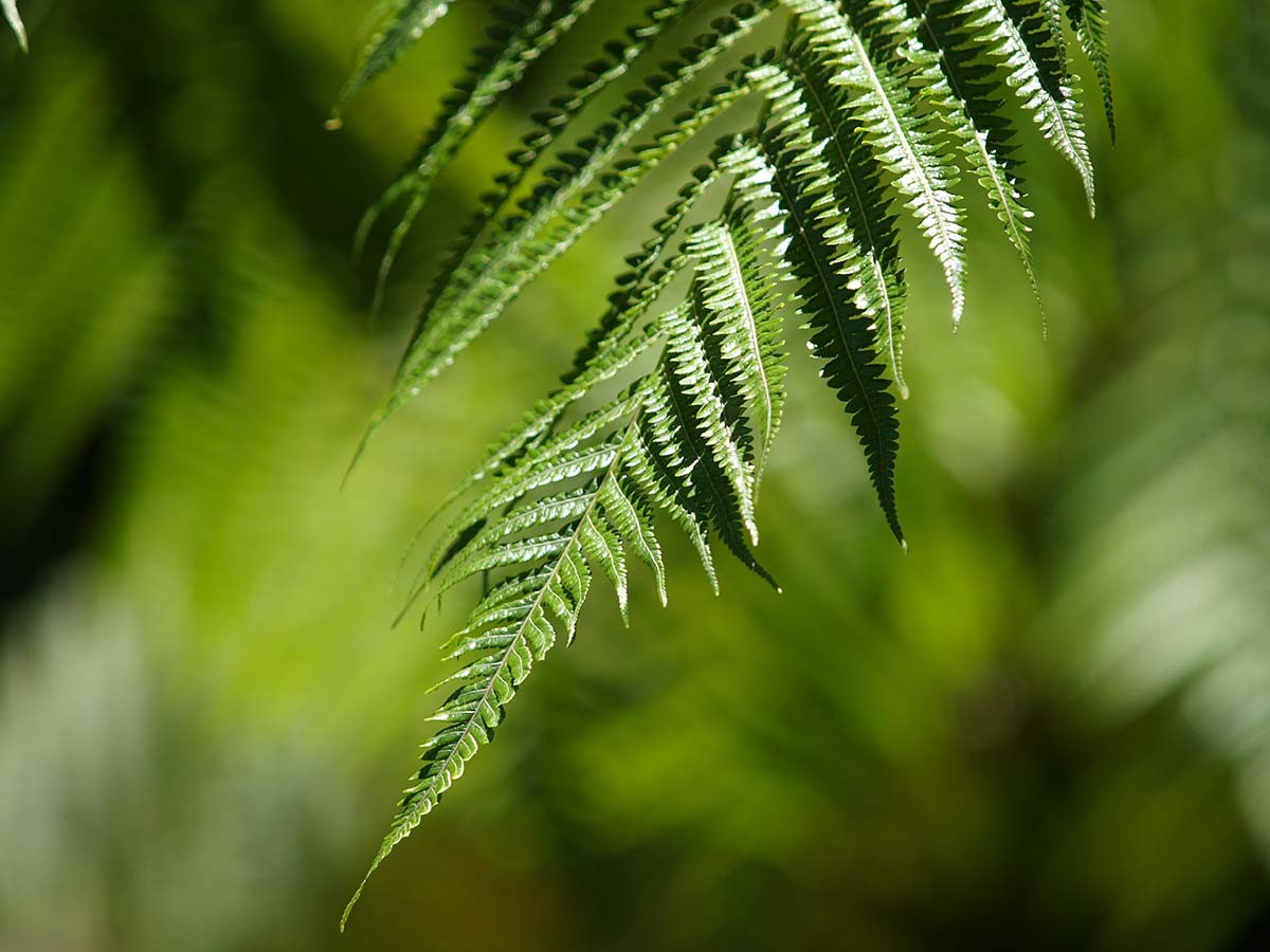 Drop Into the Fresh Start Family Semester: Fortnite Edition | Blog Details