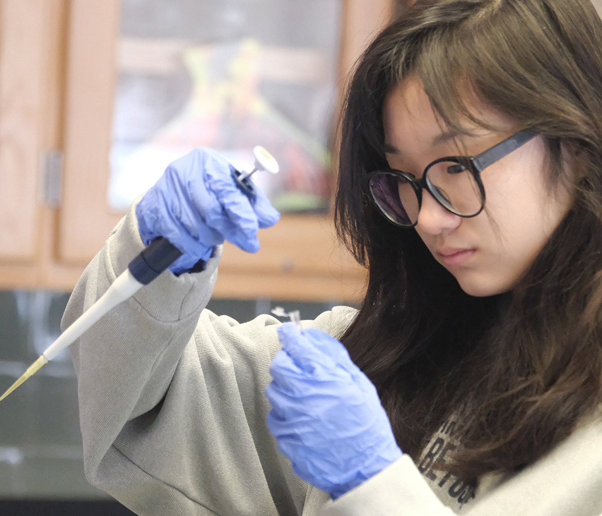 Experimenting with DNA in Honors Biology | Featured News
