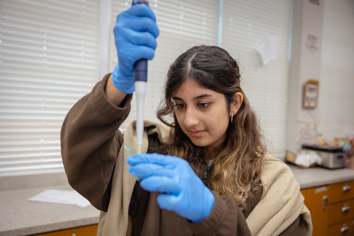 Biology II AP: Gel Electrophoresis | News Post General - Mount Carmel ...