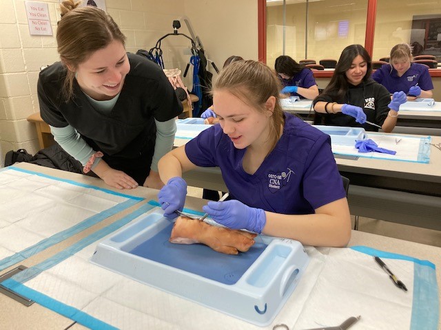 Health Science Students Practice Suturing | Post Details