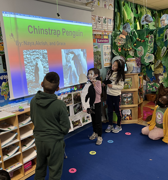Second Graders Practice Presentation Skills with Penguin Project ...