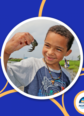 NPS & Maritime Aquarium Receive $1.3 Million for Marine Science Pathway ...