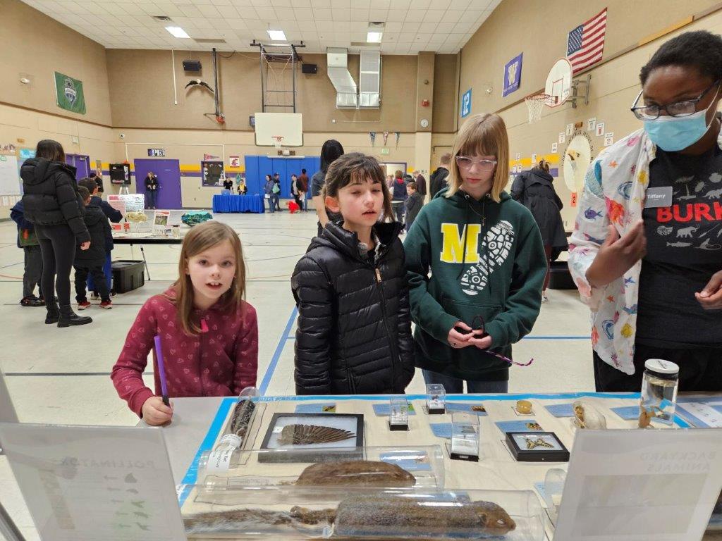 Science Fair and STEM Night | News Article - Maple Hills Elementary School