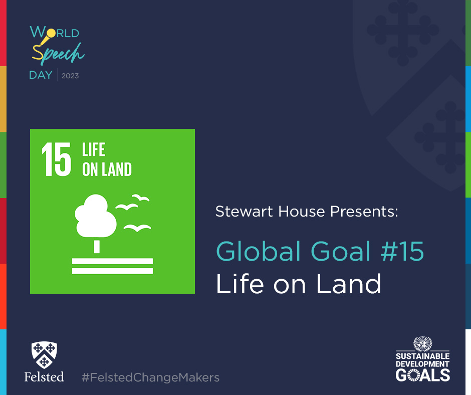 Year 2 Speeches and Song | Posts Page