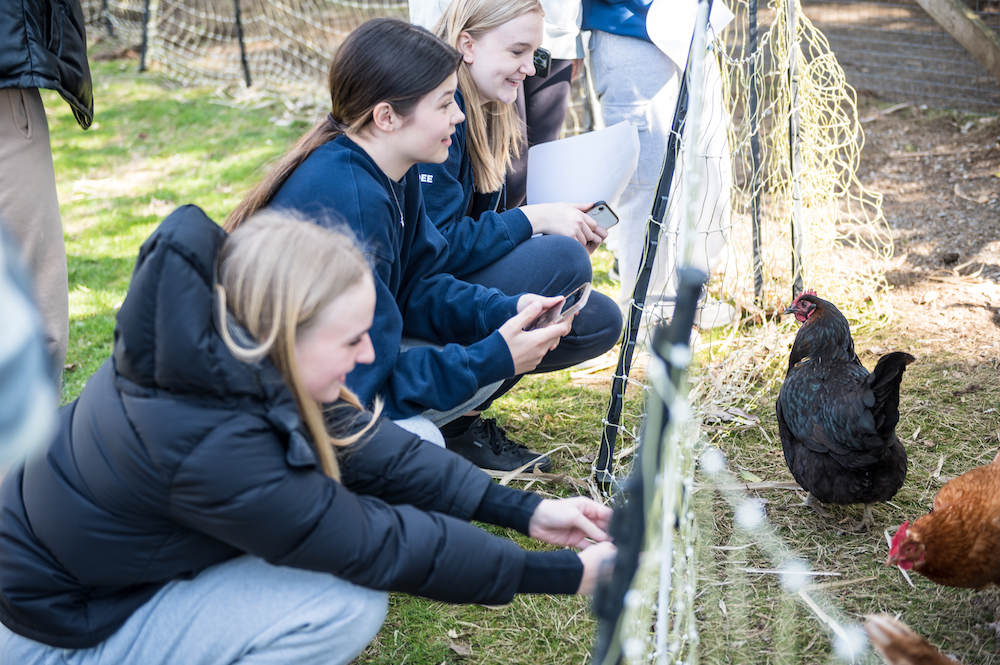 Betting the Farm on Sustainable Design: Students Help Local Farm Tackle ...