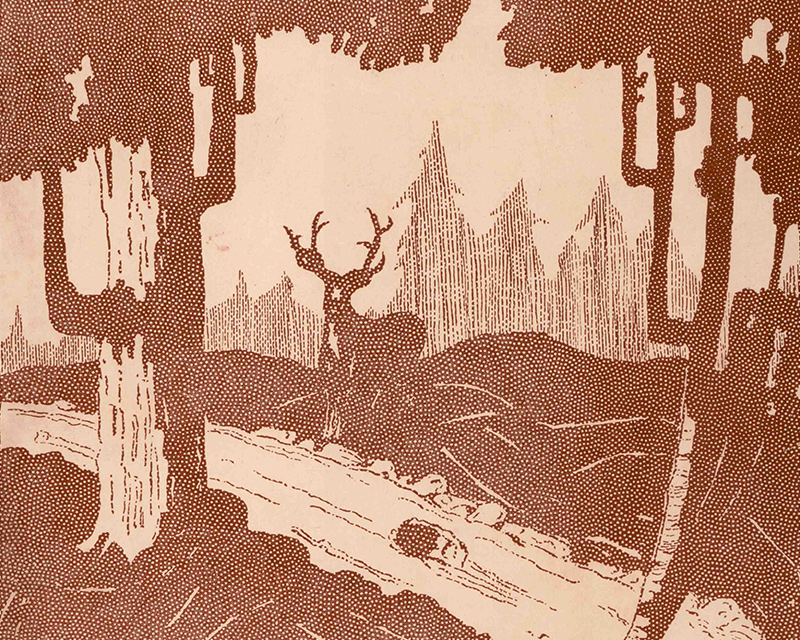 The Darwin Club of the 1920s | Loomis Chaffee Archives