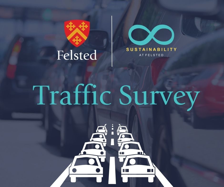 Sustainability Traffic Survey | Posts Page
