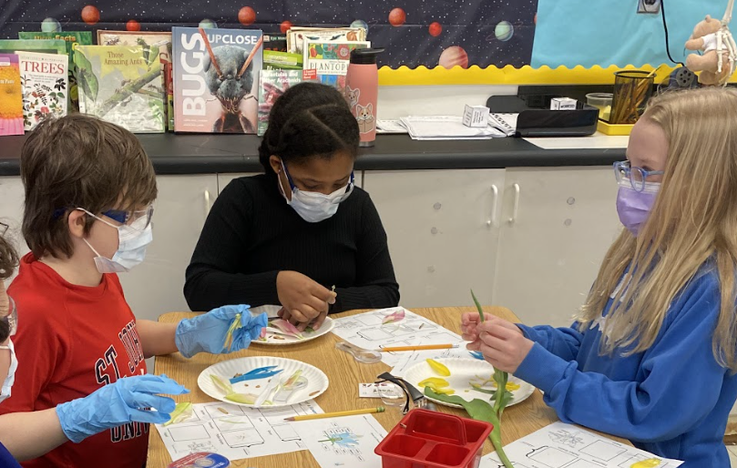 Fourth Graders Learn About Pollination Through Hands-On Activities ...
