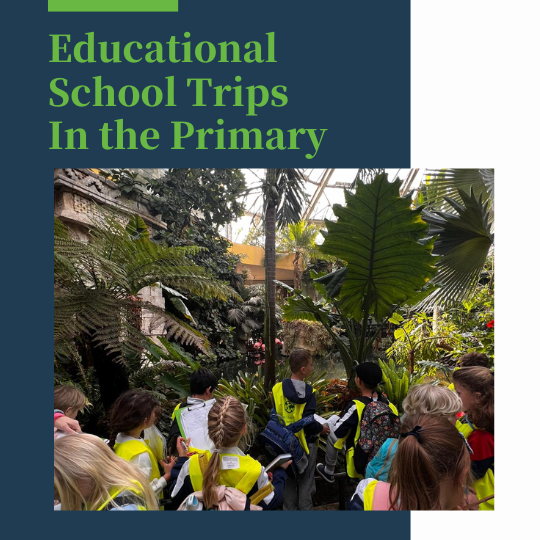 Educational School Trips in the Primary | News Mougins