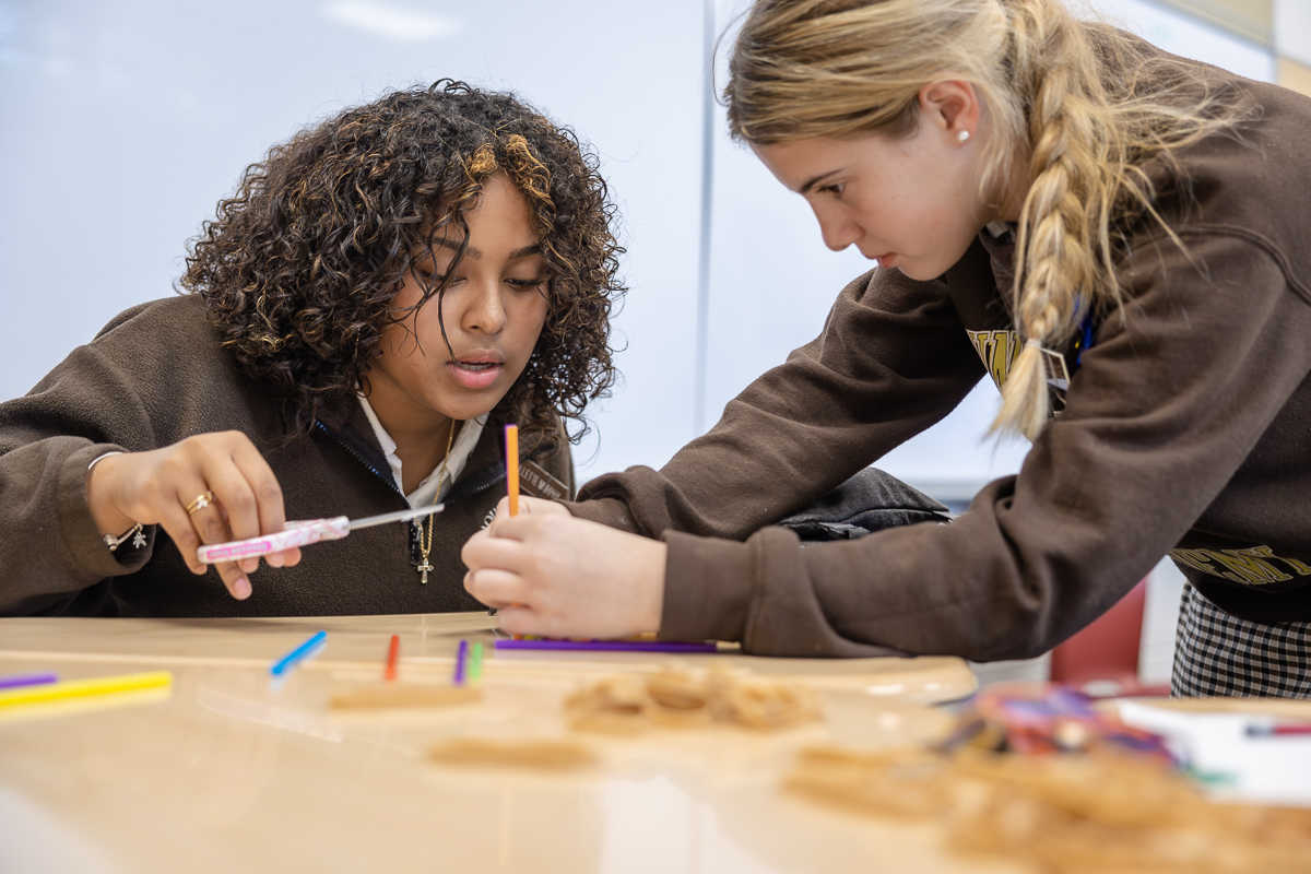 Egg Drop Challenge | News Post General - Mount Carmel Academy
