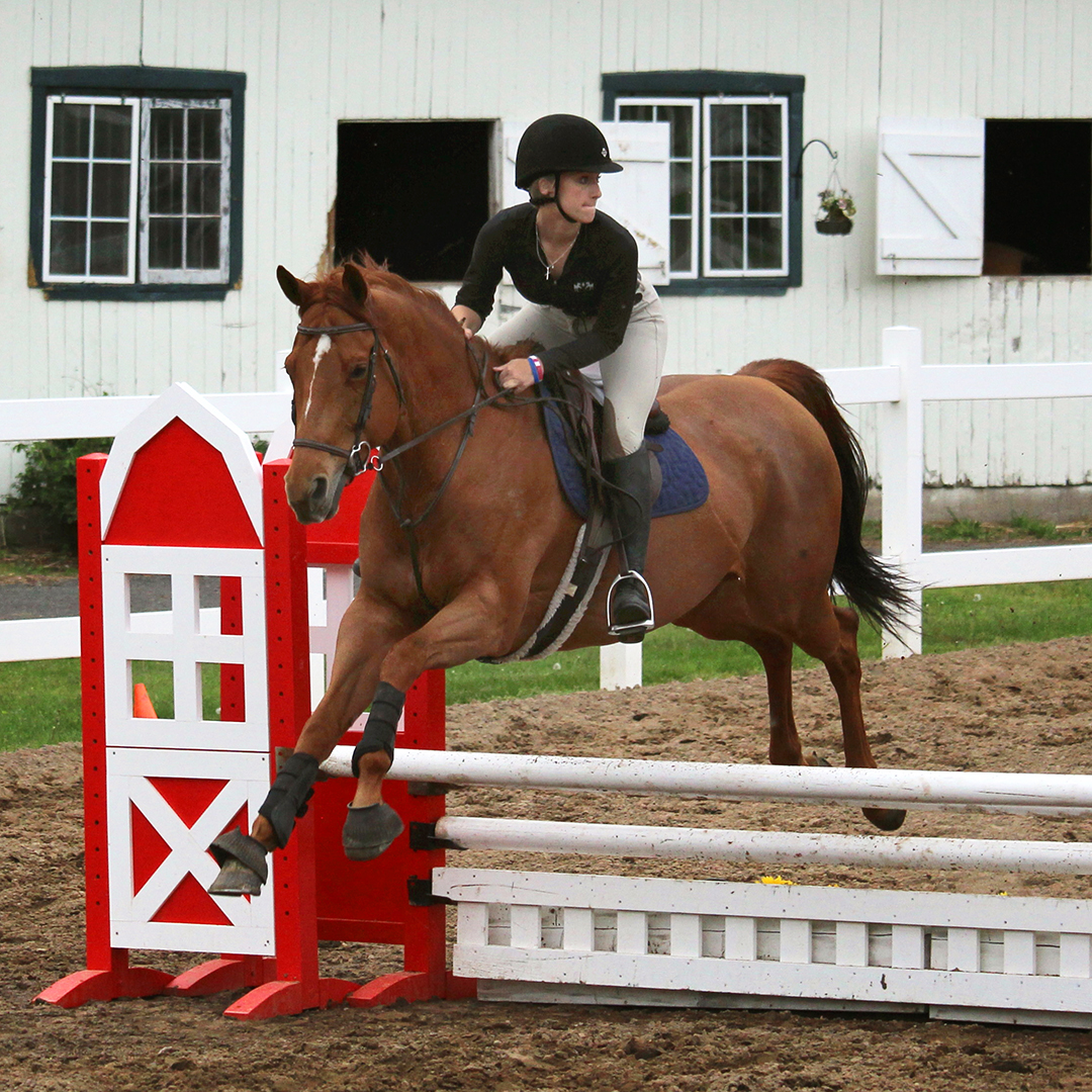 Cadence Schneider: Riding in Style | Hilltop Happenings