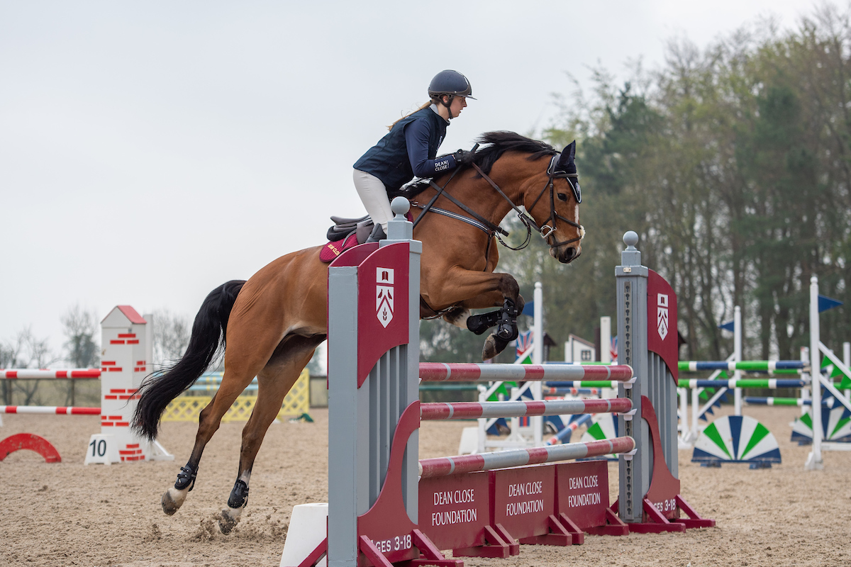 The DCF Equestrian Skills Day | Default Post