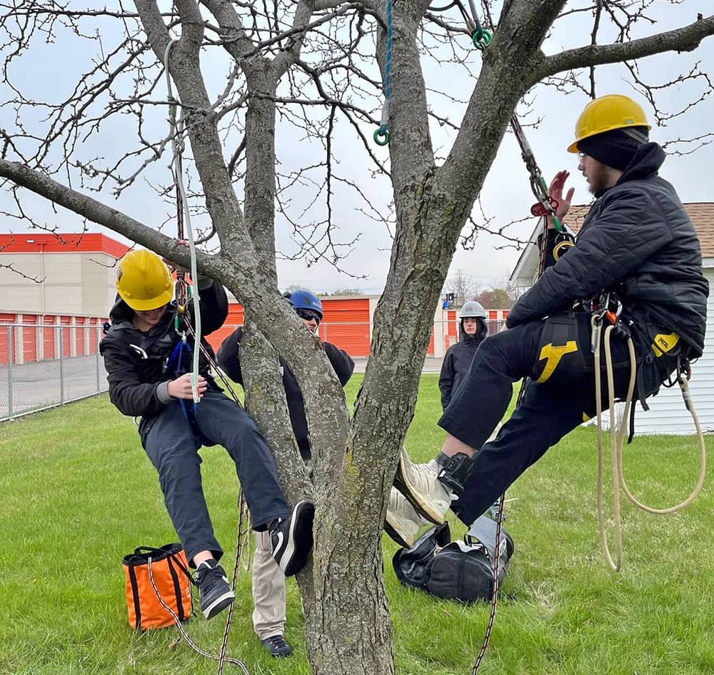 Energy Career Path - Tree Trimming Demonstration | Post Details