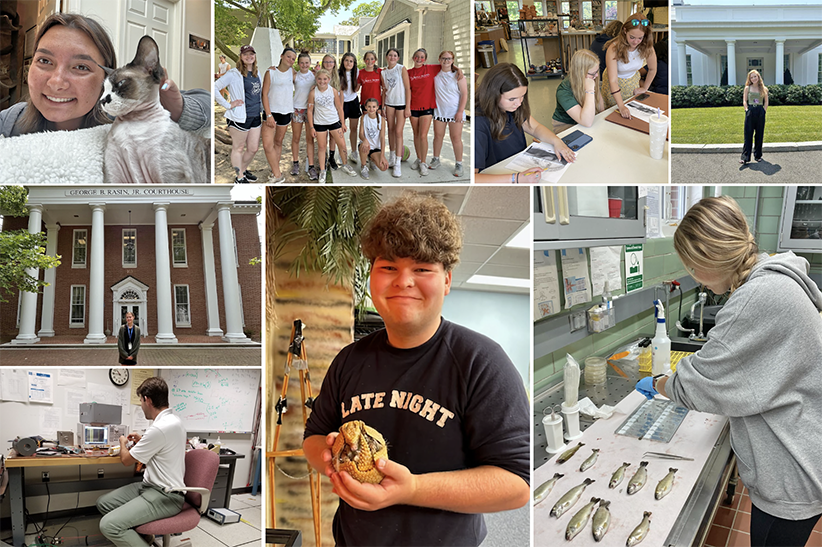 Law Firms, Childcare, and Laboratories Oh My! Seniors Participate in a ...