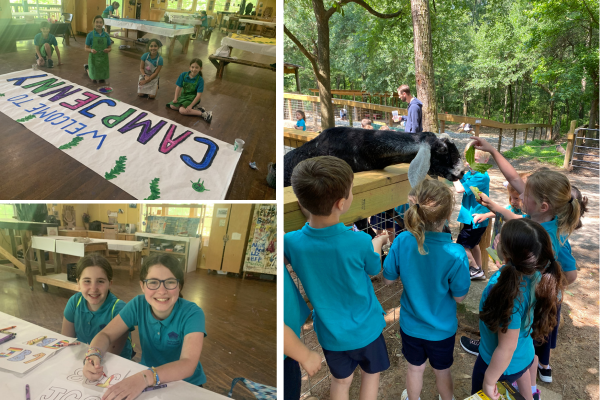 Mechina and 5th Grade's Amazing Field Trips | Details