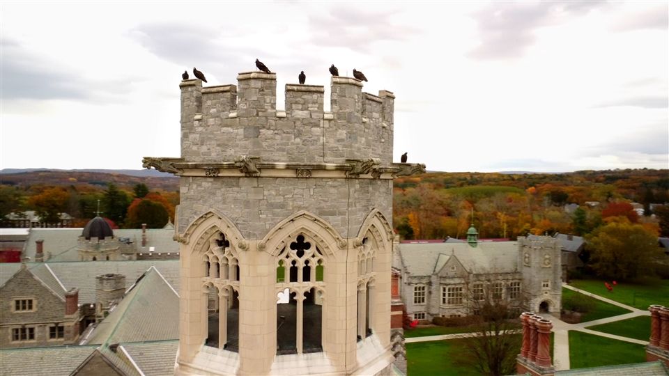 Dia K. ’24 and the Vultures of Emma Willard School | News Details