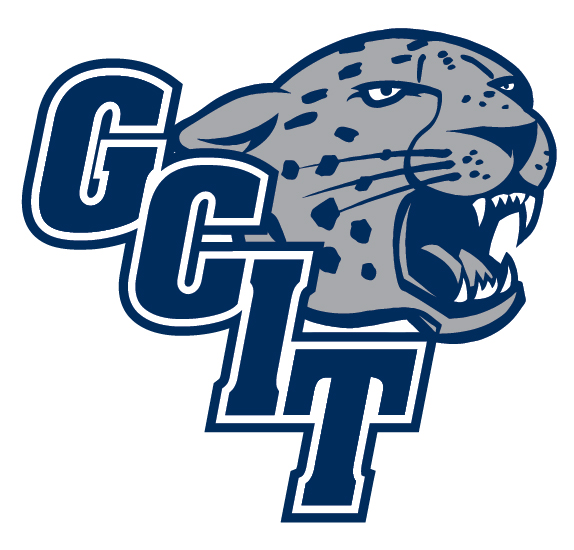 GCIT Stakeholder Volunteer Request | News Details