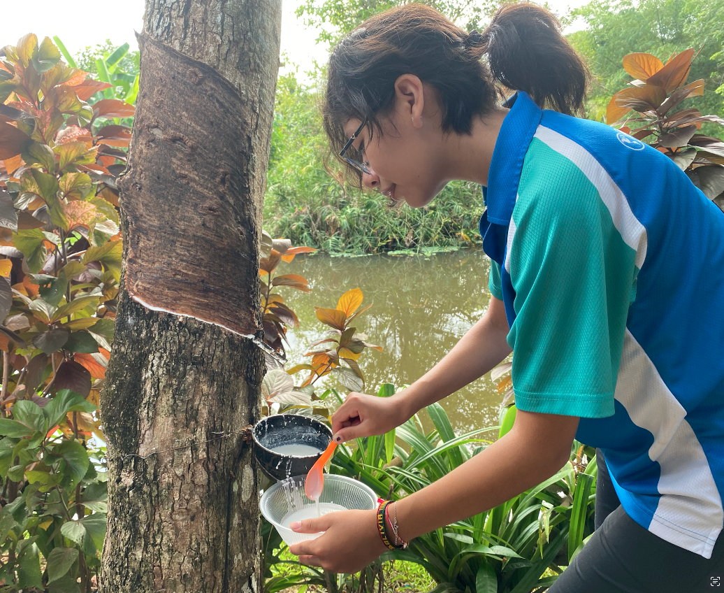 Future Preparation Week | Blog Detail-General