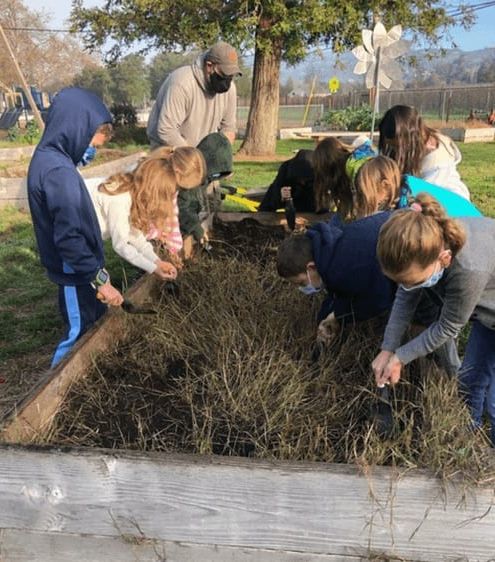 Growing Minds and Produce in our Elementary School Gardens | News Posts