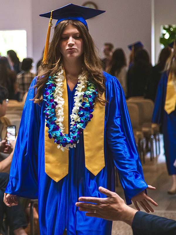 Dr. Grauer's Column - The Real Story Of Grauer’s Secret Gorilla Sauce ...