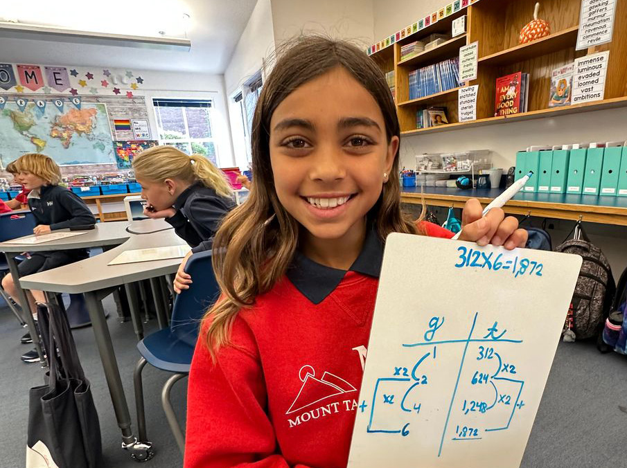 Mathematics at MTS | Blog