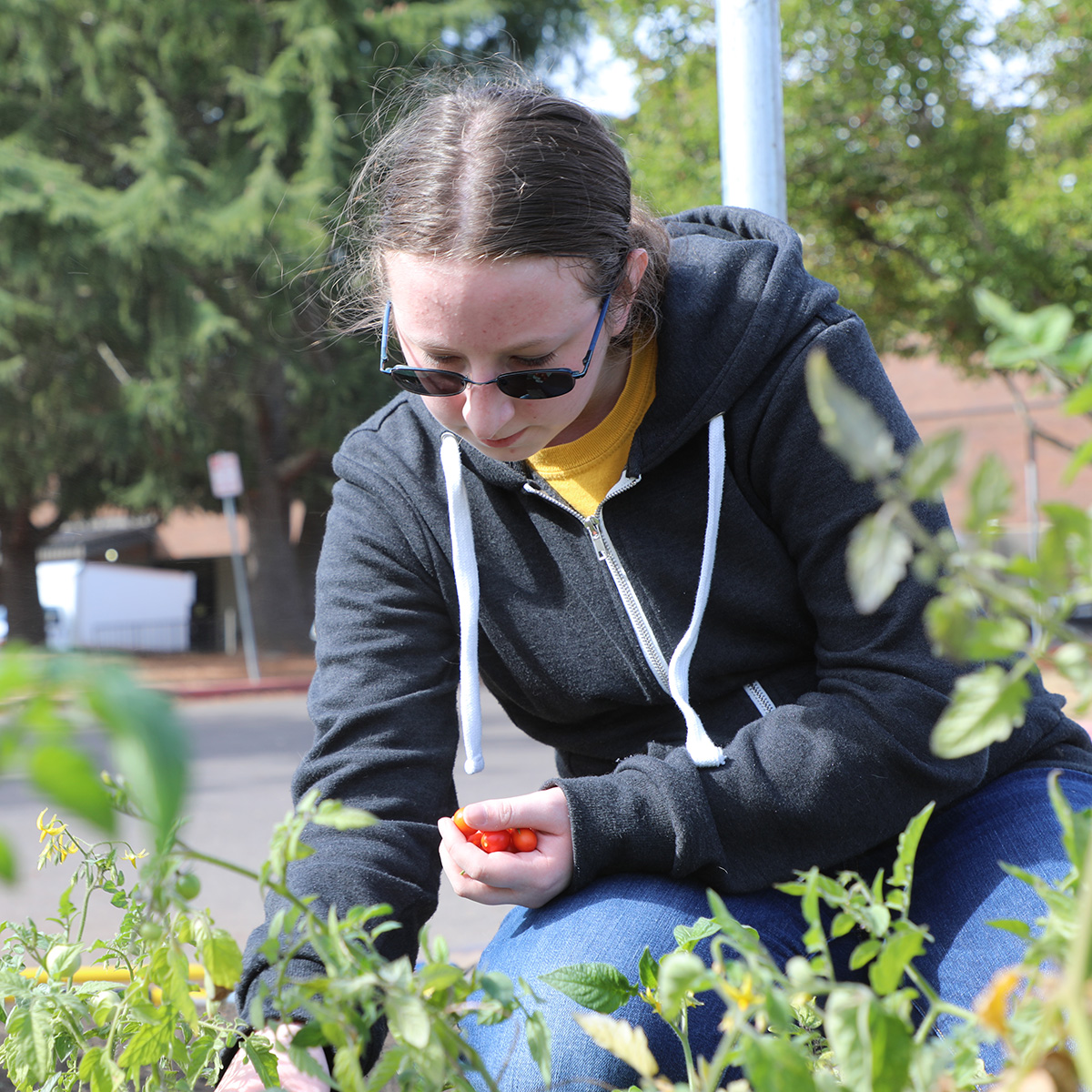 Agriculture | CTE Program Details