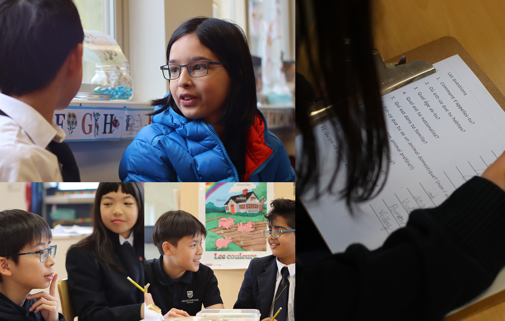 Parlez-vous Français? Learning about each other and applying French ...