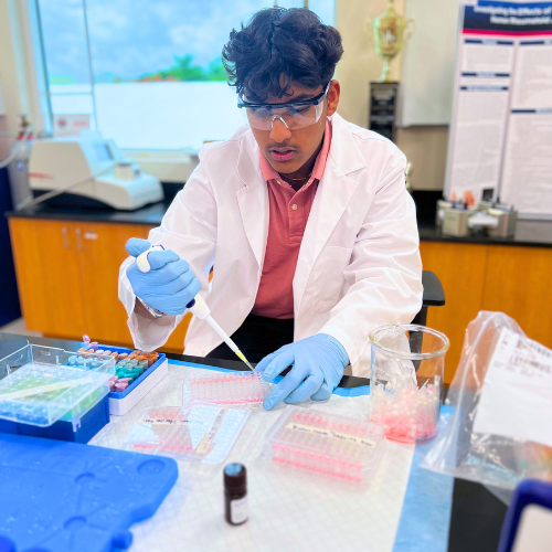 Empowering Tomorrow's Scientists: The Innovative Summer Research ...