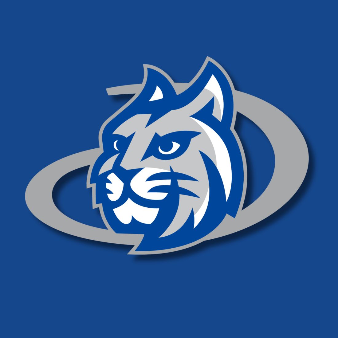 Student Safety During Arrival and Dismissal | News Details