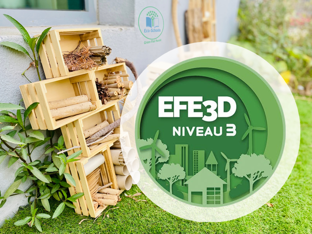 Label EFE3D | Actualités