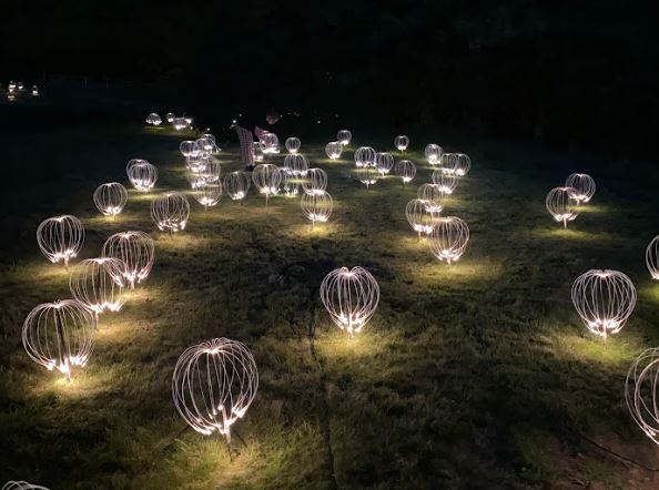 Felsted Artists collaborate with Bruce Munro for "Fireflies ...