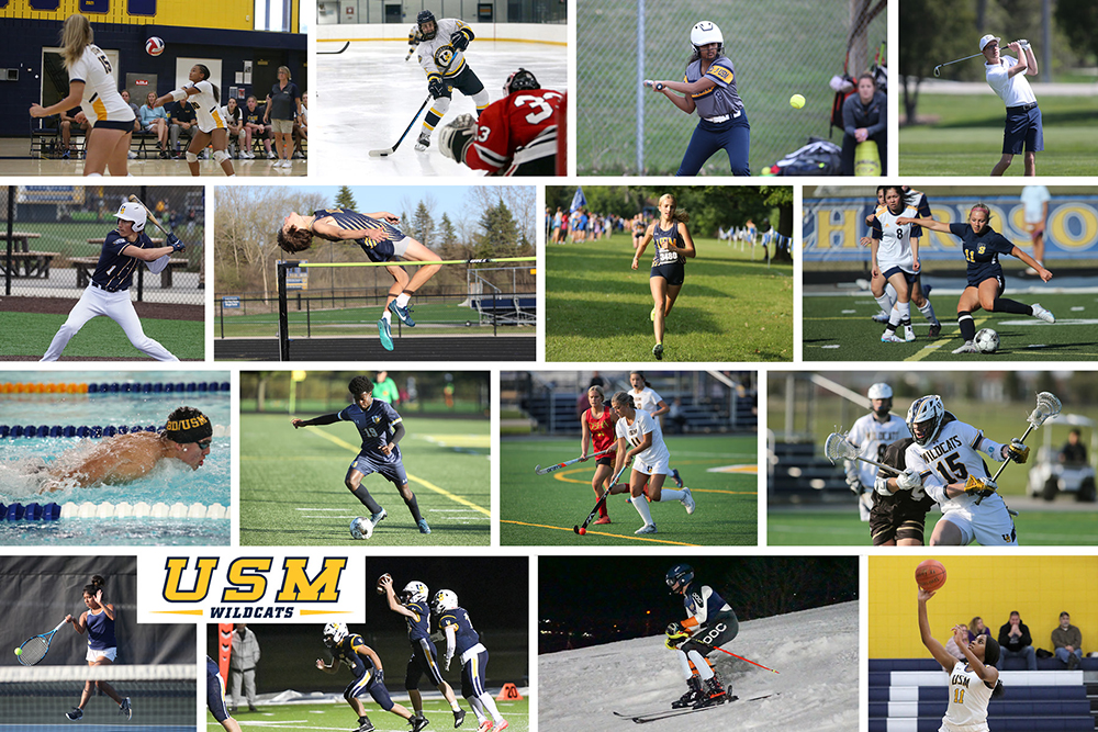 Sports Psychologist Assists USM Athletes | USM News