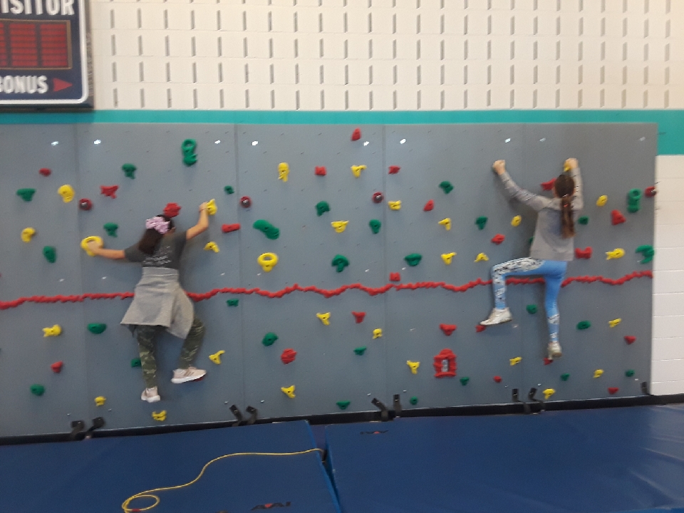 Rock Wall Installed in the Brooks Gym | Brooks News Post