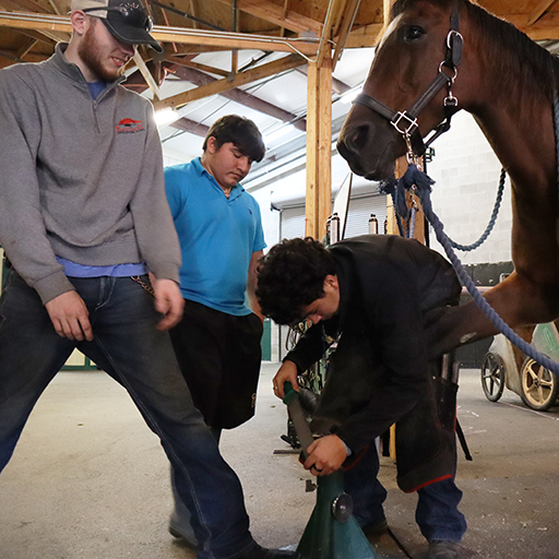 Graduate of The Stables Mentors Teens in Farrier Craft | Post Details