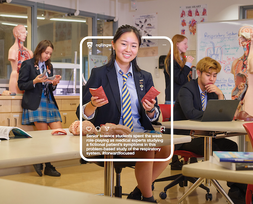 Role playing as medical professionals to learn about the respiratory system | Forward Focused ...