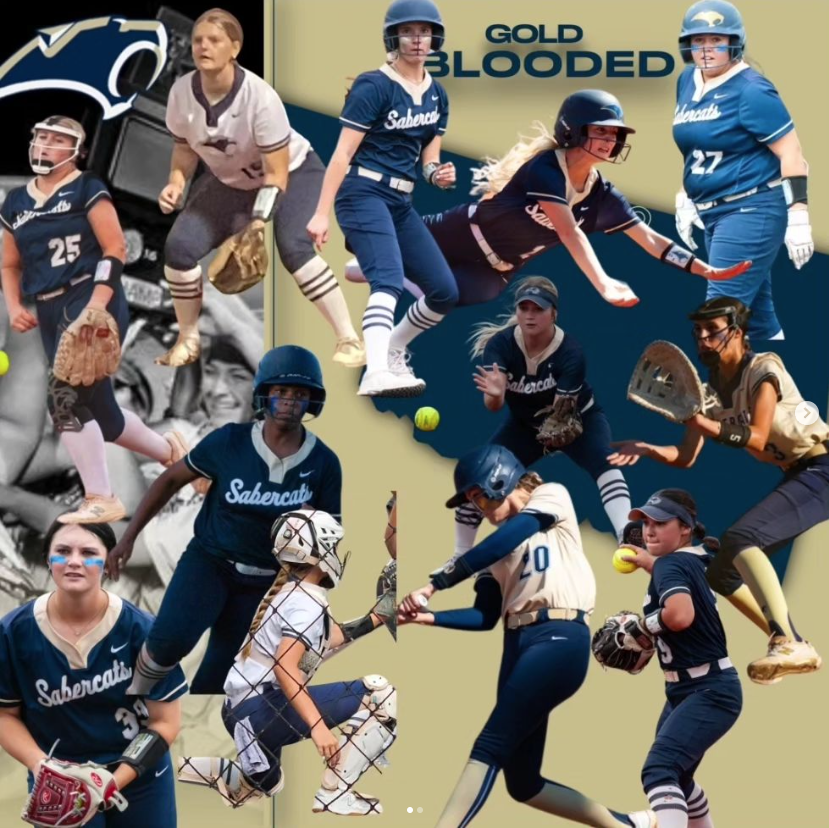 SHS Girls Softball Win 6A State Championship | News Details