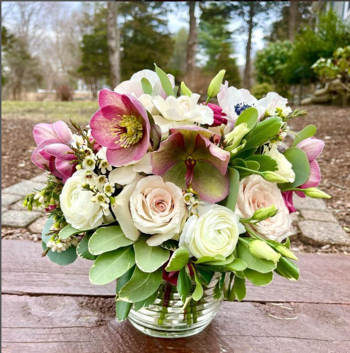 Profile of an entrepreneurial classmate: Rachel Lee, founder and owner ...