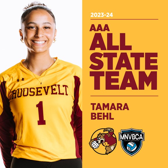 Teddy Named to Class AAA Allstate Volleyball Team | News Details