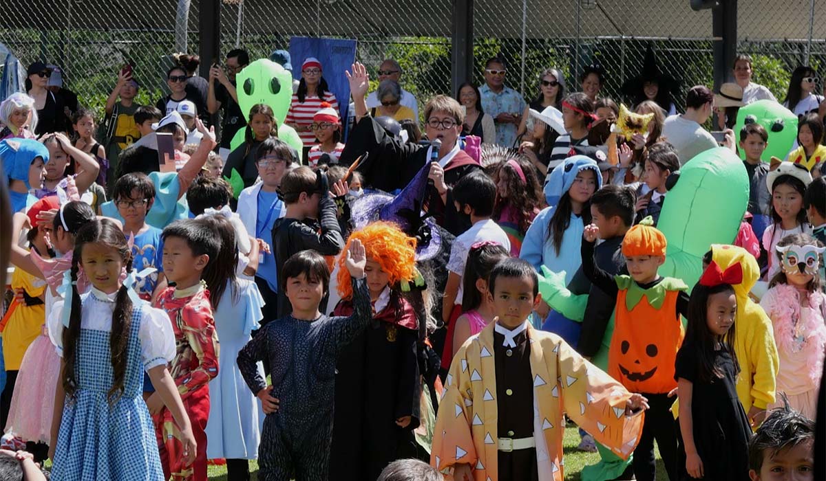 Community Alive! | Blog Details